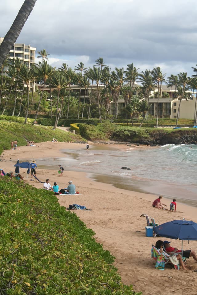 Top Snorkel and Scuba Dive Sites in Maui | Zentacle - Reviews, Maps ...