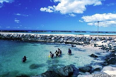 Magic Island Lagoon in Oahu, Hawaiian Islands | Zentacle - Scuba Diving ...