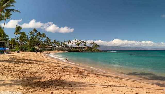 Mala Wharf in Lahaina, Maui, Hawaii | Zentacle - Scuba Diving and ...